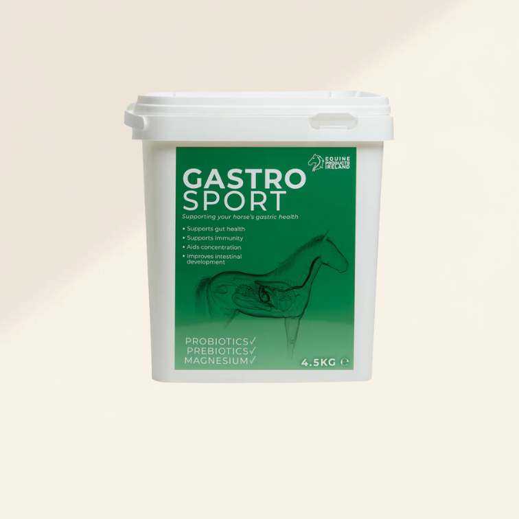 Gastro Sport – Horseuae